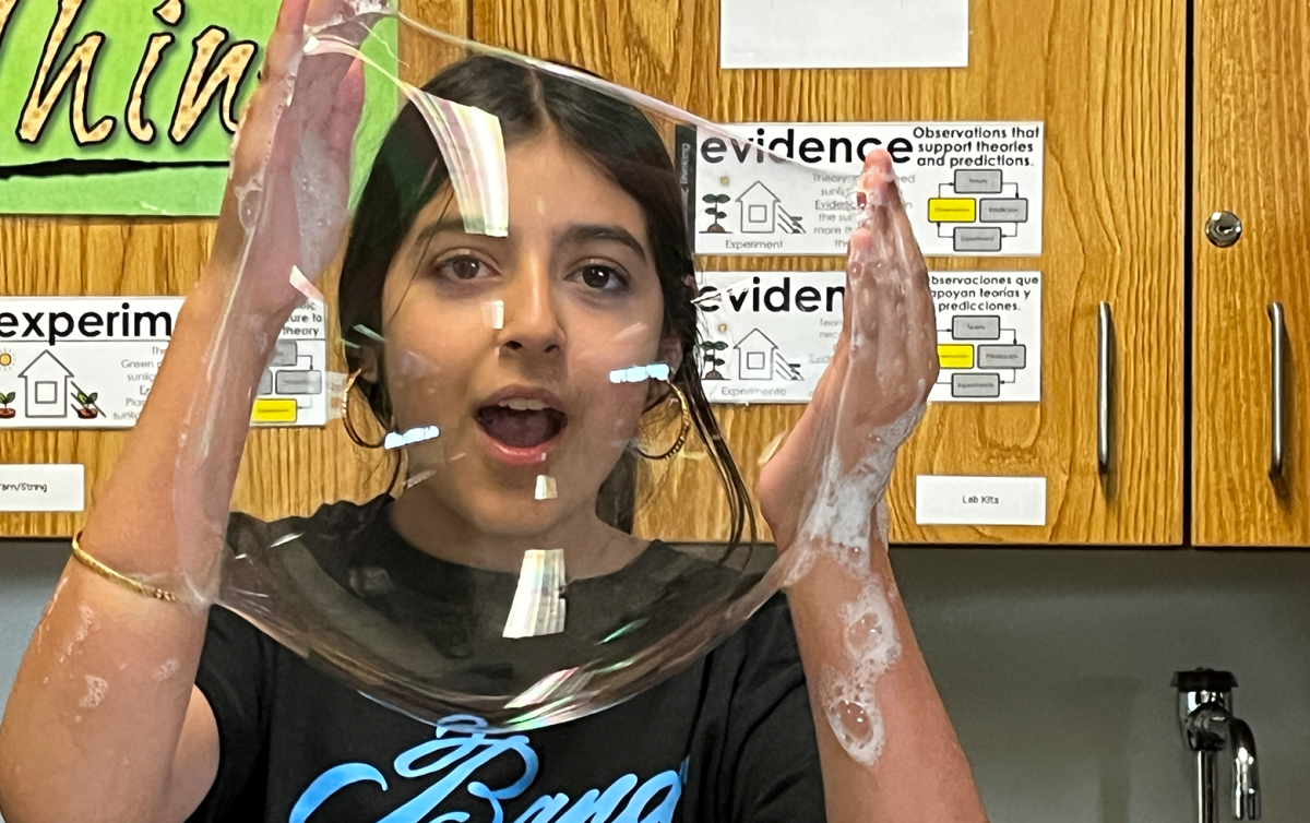 STEM Launch students learn about cells in a soapy way | News Details