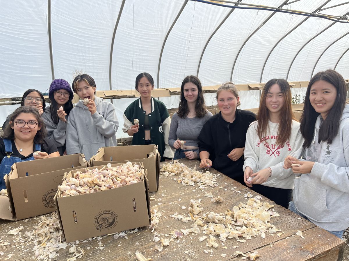 Head, Heart, and Hands: Community Engagement and Social Impact at Emma ...