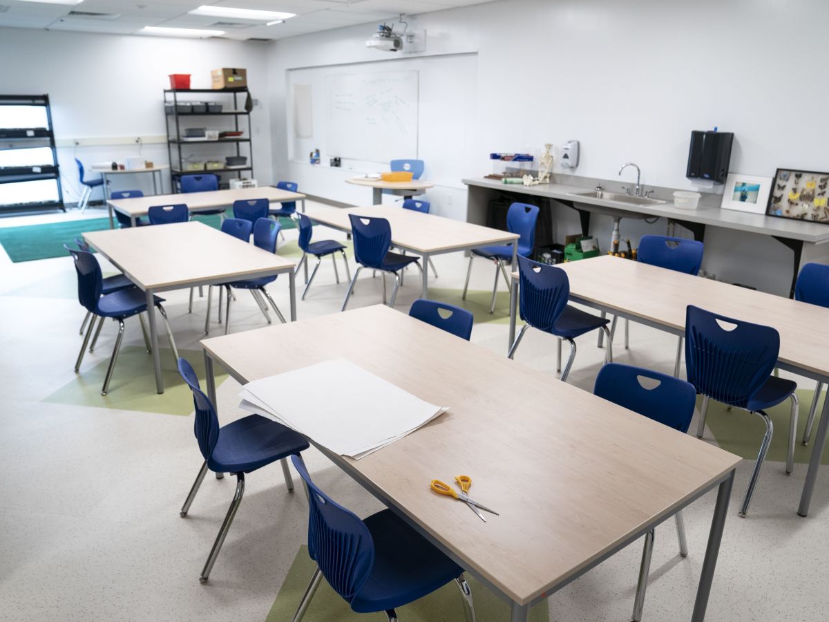 Unveiling Our New Lower School Science Labs! | News Story