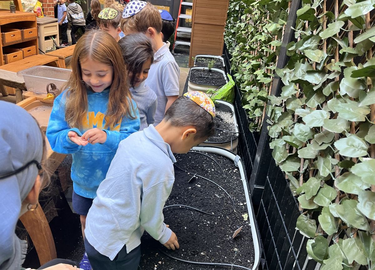 Students Plant Seeds with GrowTorah | Ramaz News - The Ramaz School