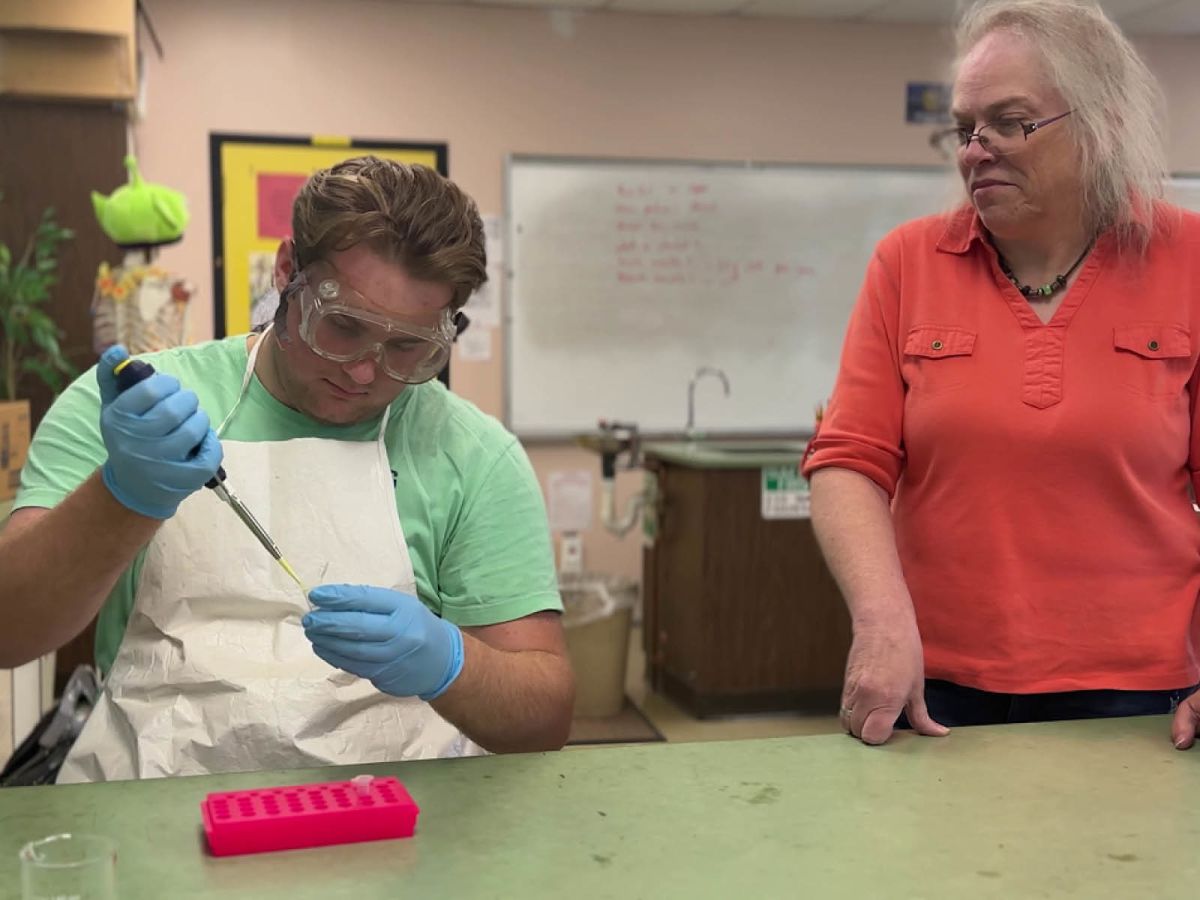 Penguin Perspectives | MSSM News