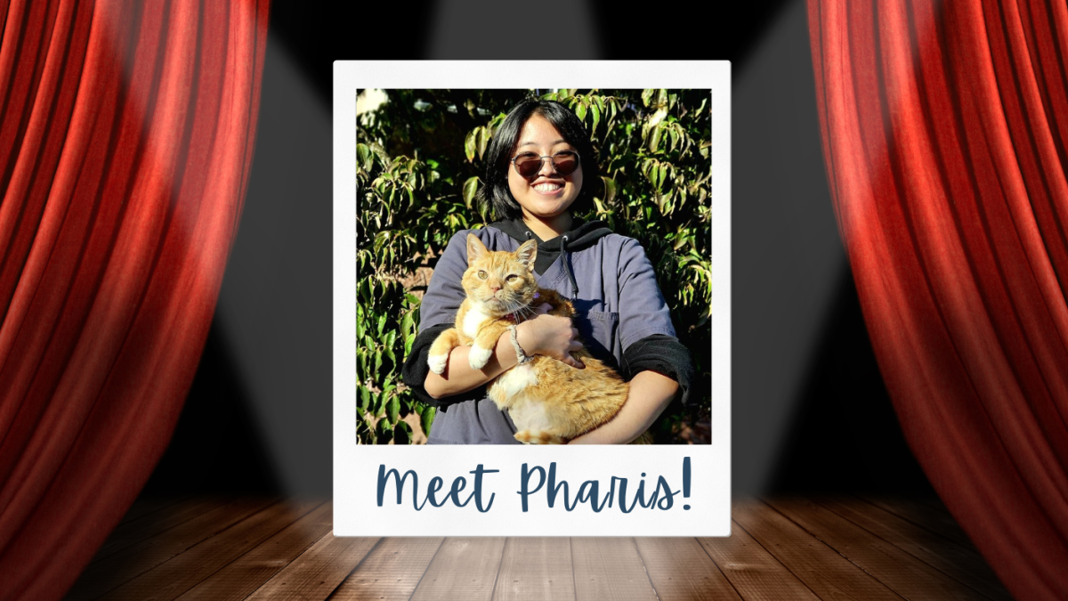 Meet Pharis: Shining in the Staff Spotlight at Alpine View Veterinary ...