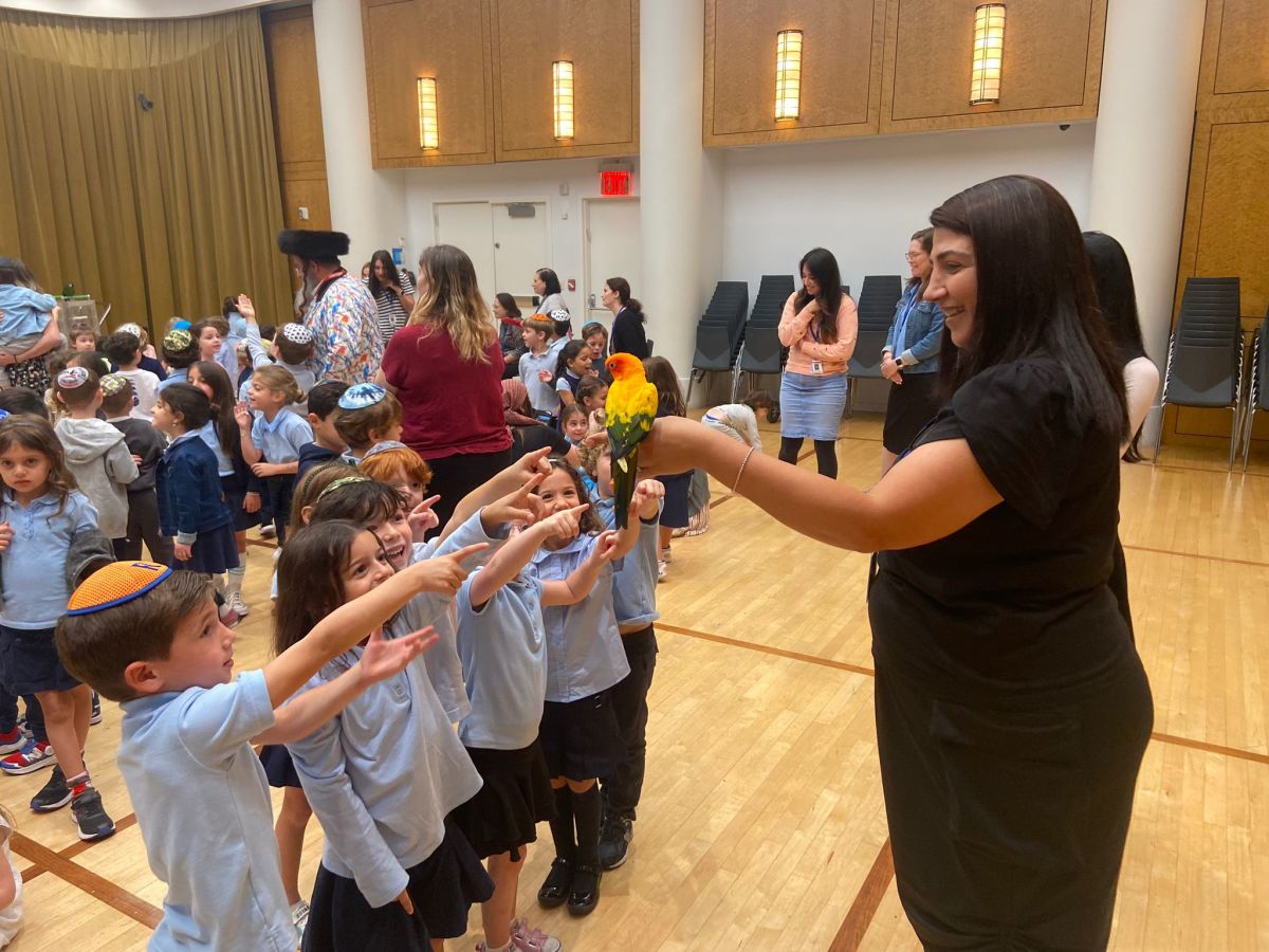 The Parrot Rebbe Brings Colorful Friends for the Students | Ramaz News ...