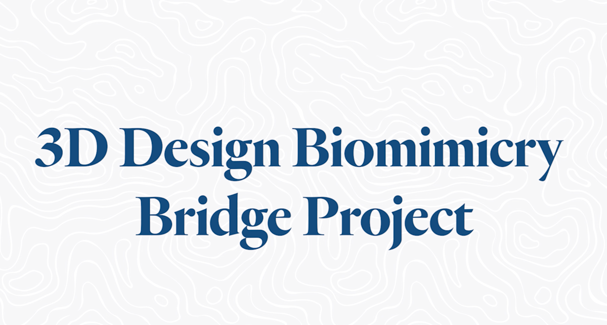 (VIDEO) 3D Design Biomimicry Bridge Project! | Post Details