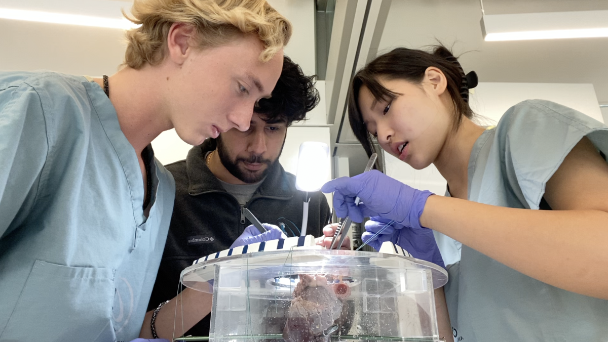 Summer Journeys: Fiona Chou ’25, A Deeper Dive into Medical Education ...