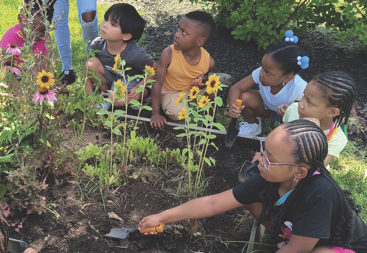 Summer Happenings at CCSA | Default Post Page