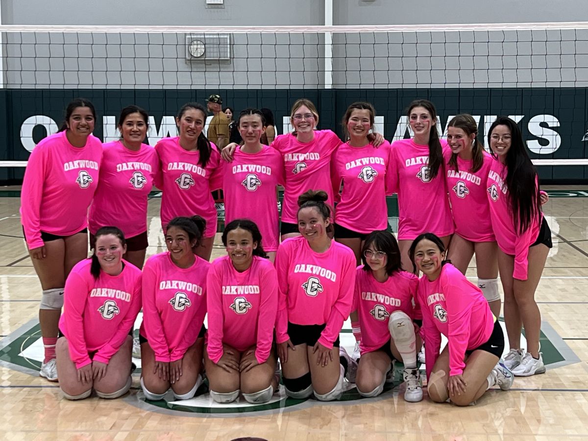 High School Girls Volleyball Teams Shine Against York | News Details