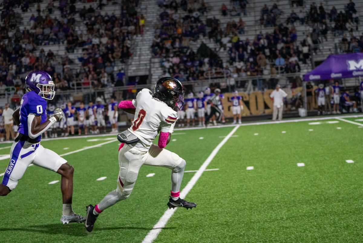 Lions Fall Short As Monroe Area Wins in Overtime 17-14 | News Details