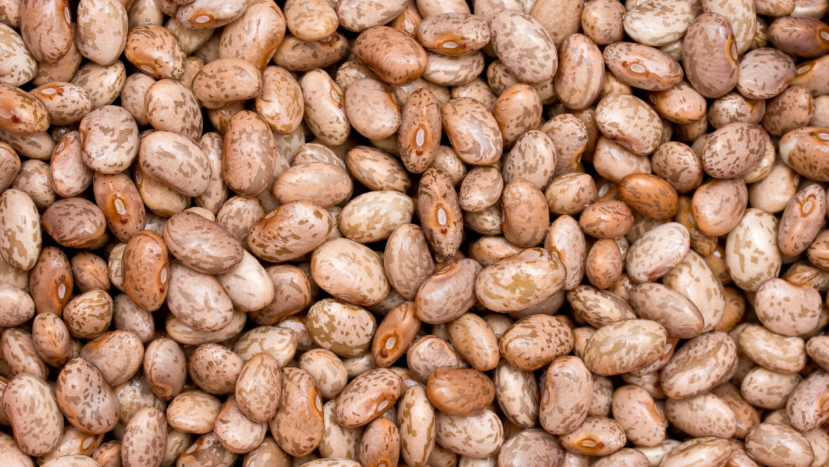 Latin, Greek, and Scooping Beans | blog post