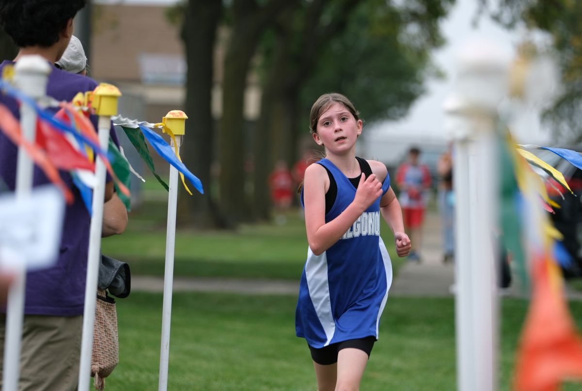 Cross Country Collaboration | District News Articles