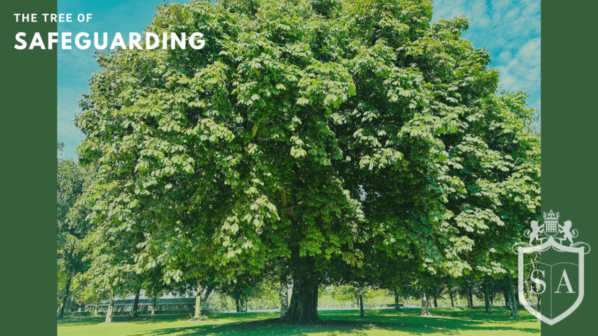 A culture in safeguarding | Blog demo page