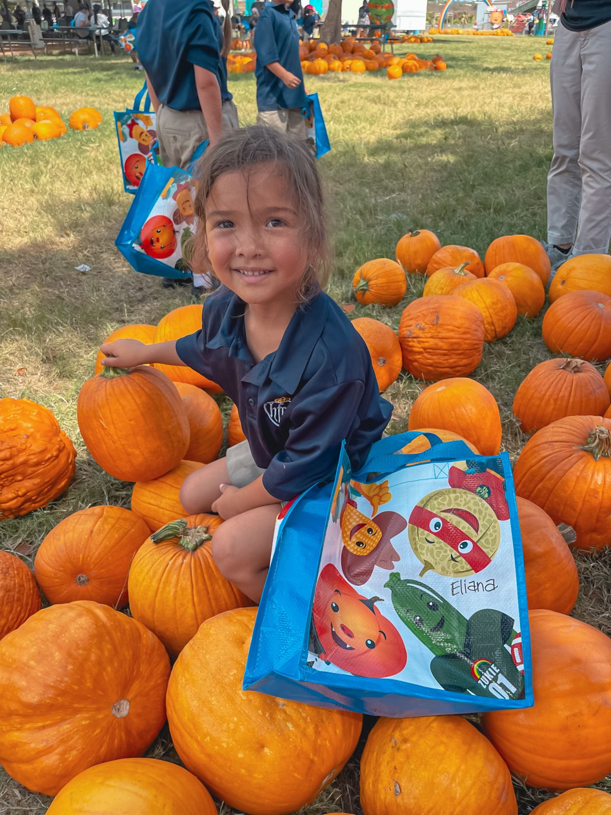 Kindergarten Field Trip to Aloun Farms | Post