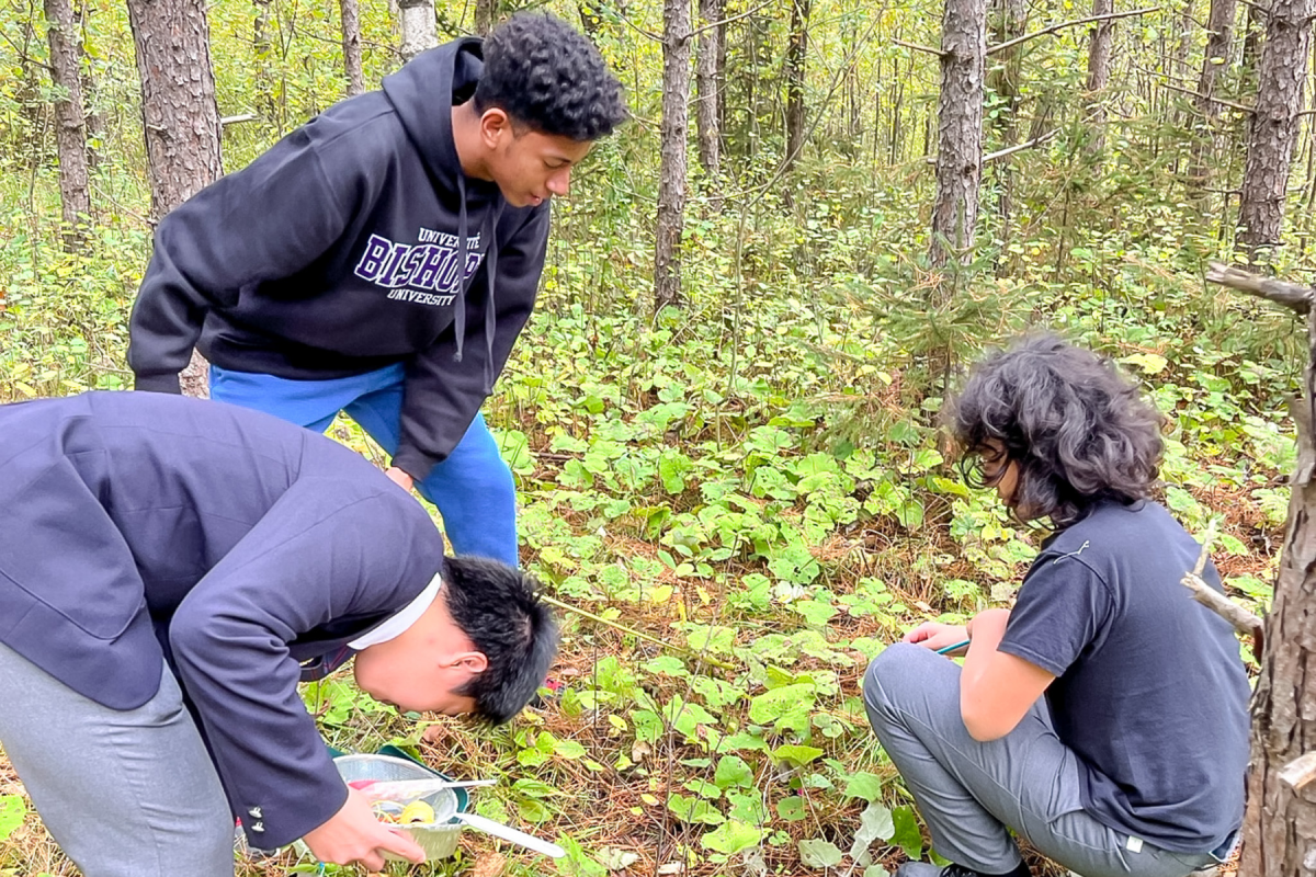 Tower treasures | Details