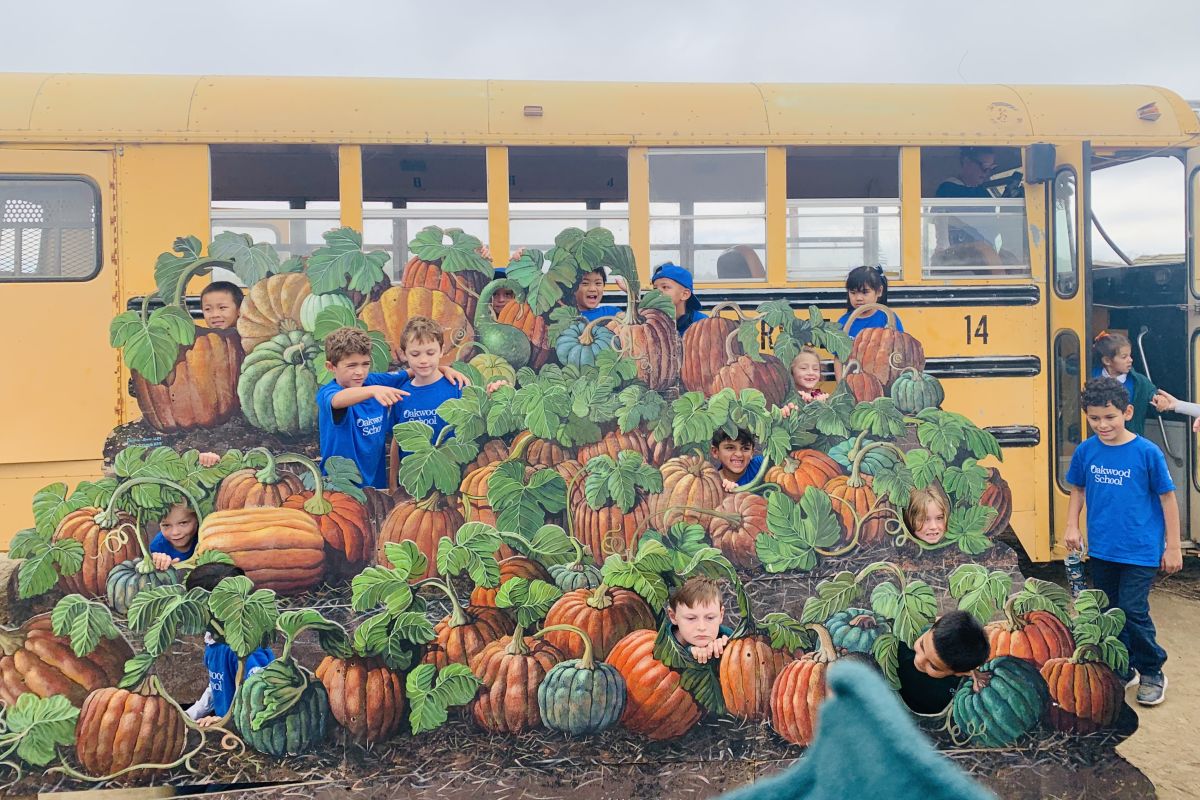 1st Grade Adventure: A Day of Pumpkin Picking and Learning at Swank ...