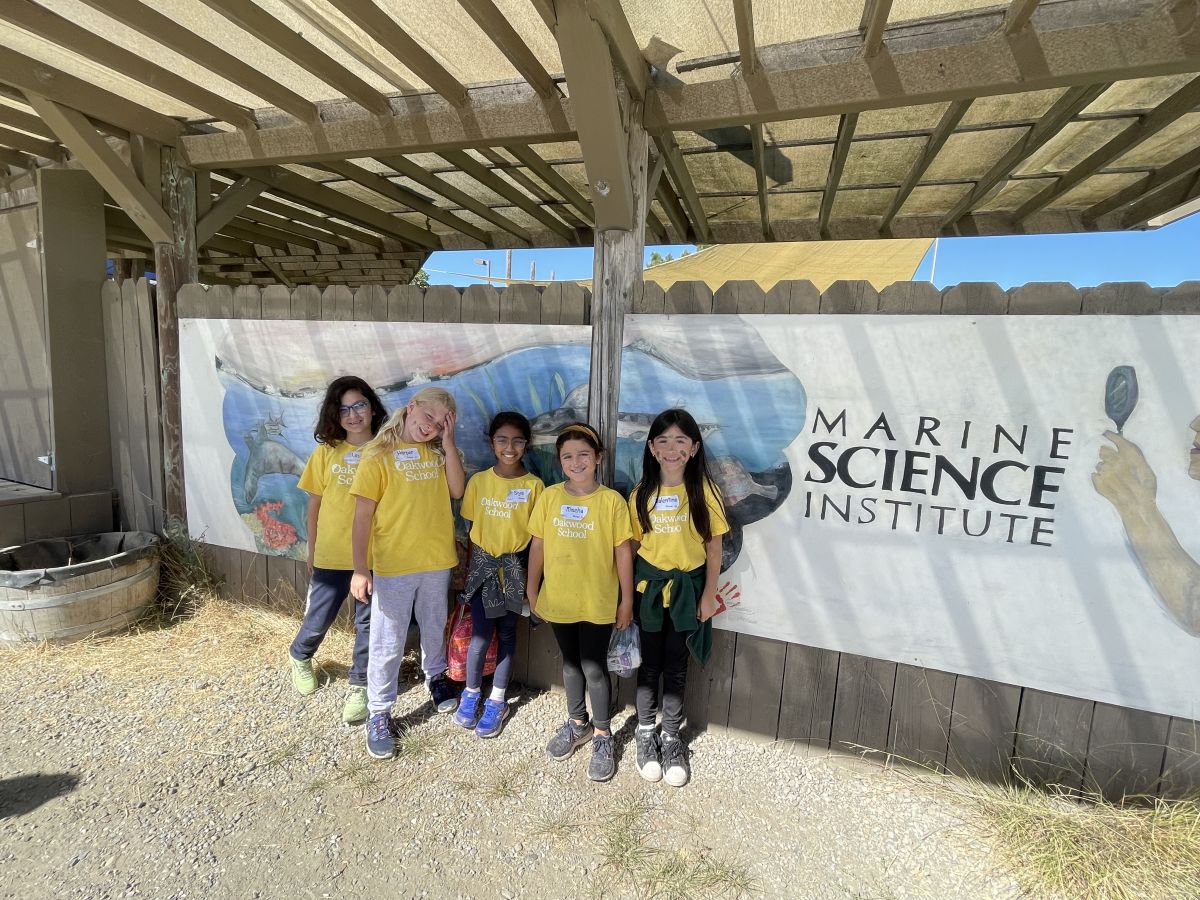 3rd Grade Explores the Wonders of the Marine Science Institute | News ...