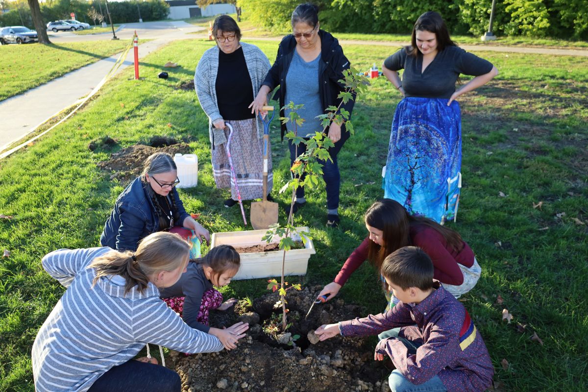 A reflection on medicine garden tree planting | article
