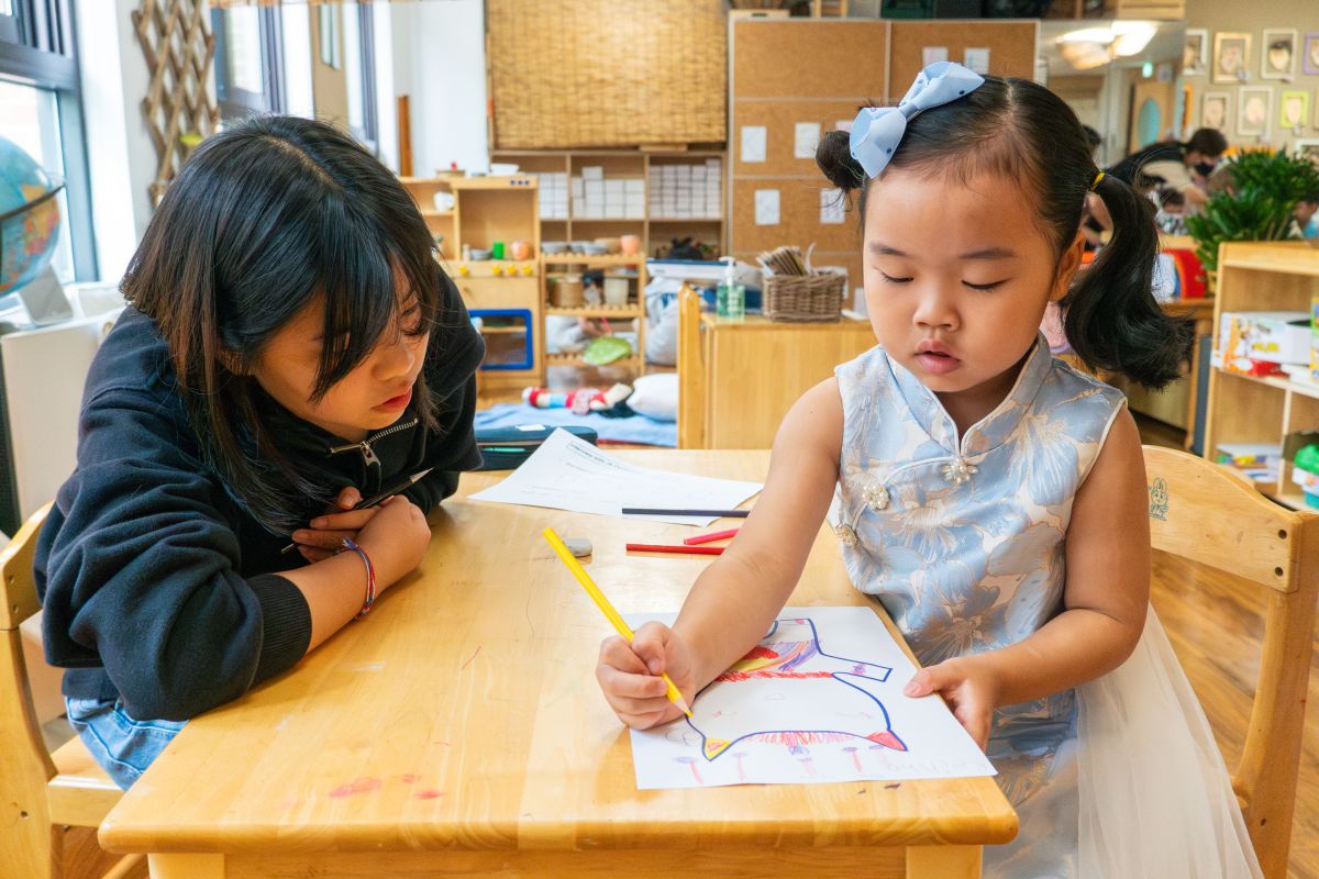 A Multigrade Design Project | Phoenix Stories Posts