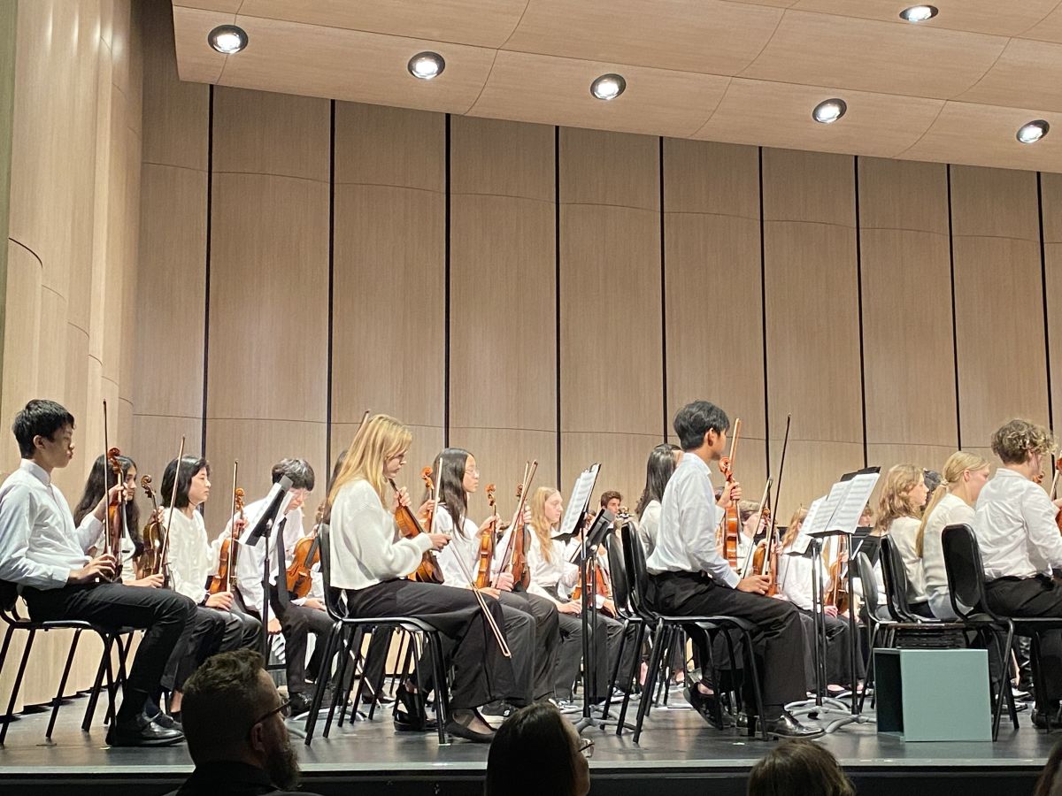 Perry Tipler And ALPS Students Perform in WSMA Honors Orchestra | Details
