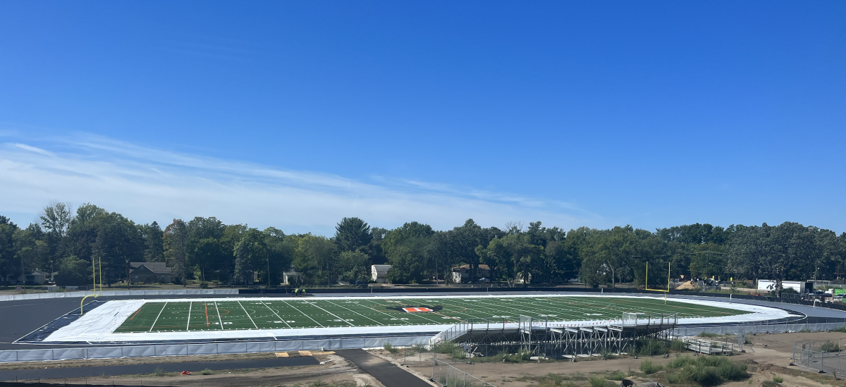 Price Field Updates | Article