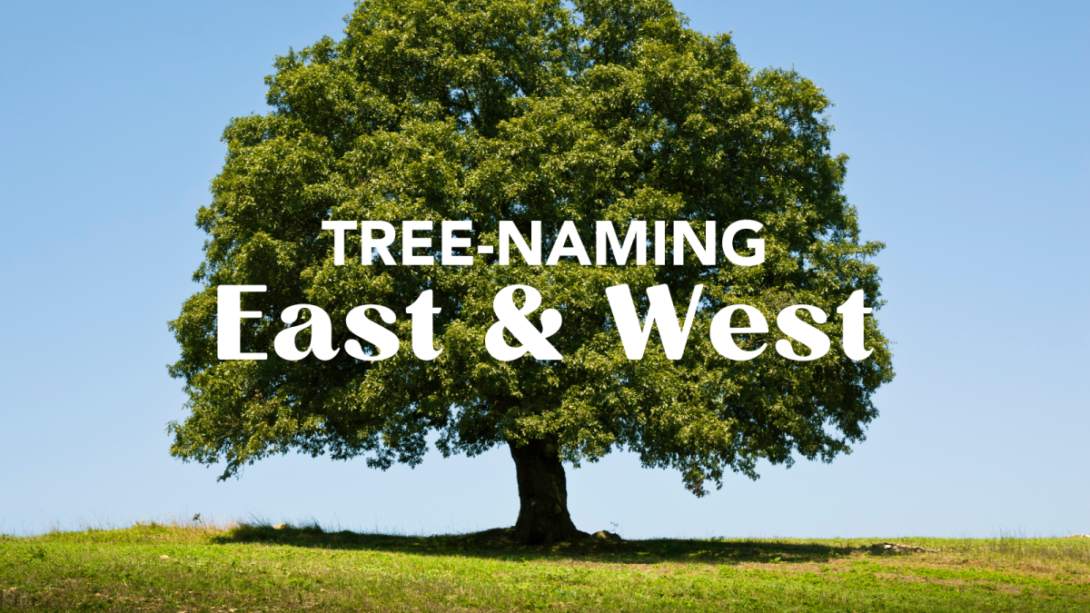 Tree-Naming AIS East & West | Experience Avon