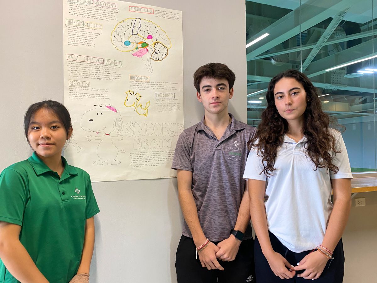 Ap Psychology Celebrity Brain Project 60 Photos - Moonagedaydream.film
