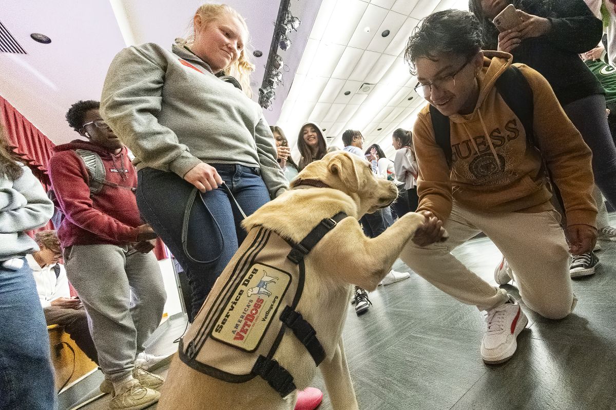 Senior Experience Classes Visited By Guide Dog Foundation For The Blind ...
