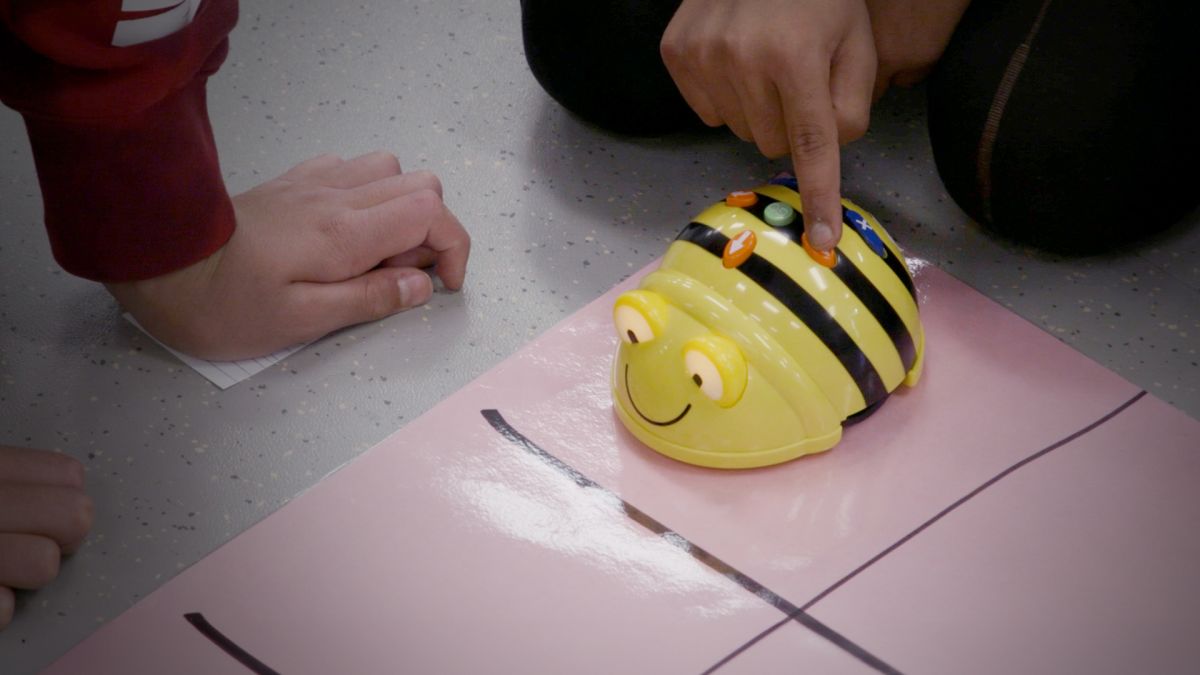 Levy Dollars in Action: Blue Bots and Bee Bots | News Article ...