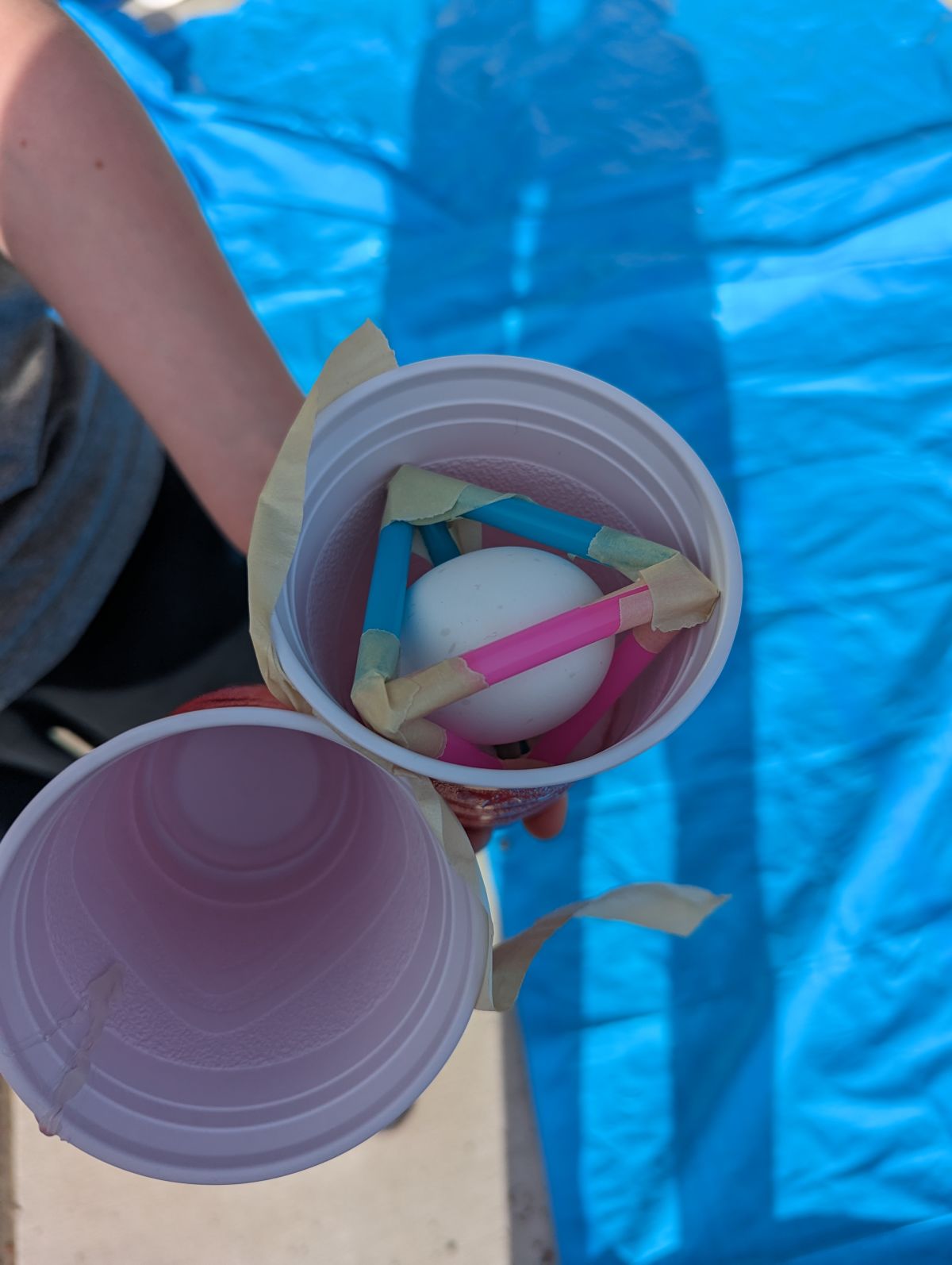 Egg Drop Challenge! | News Article - Cougar Mountain Middle School