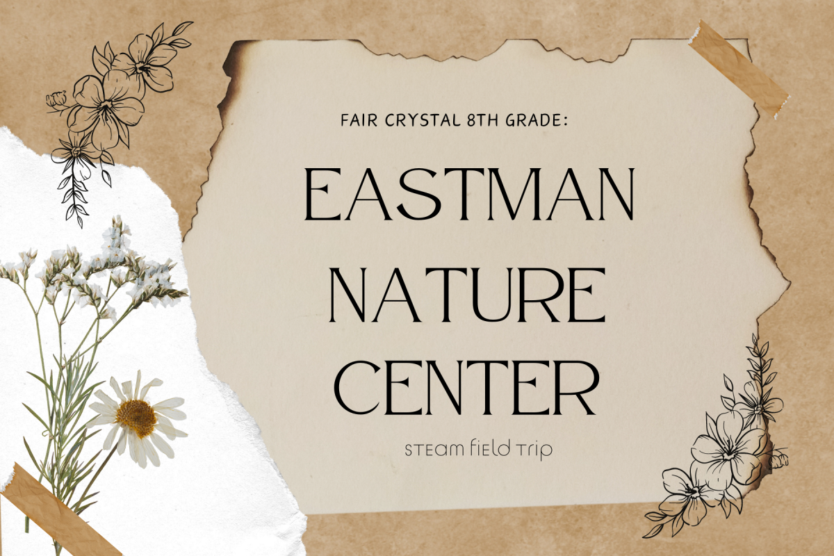STEAM Field Trip: Eastman Nature Center | article