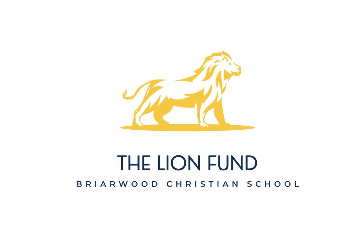 The Lion Fund | Details