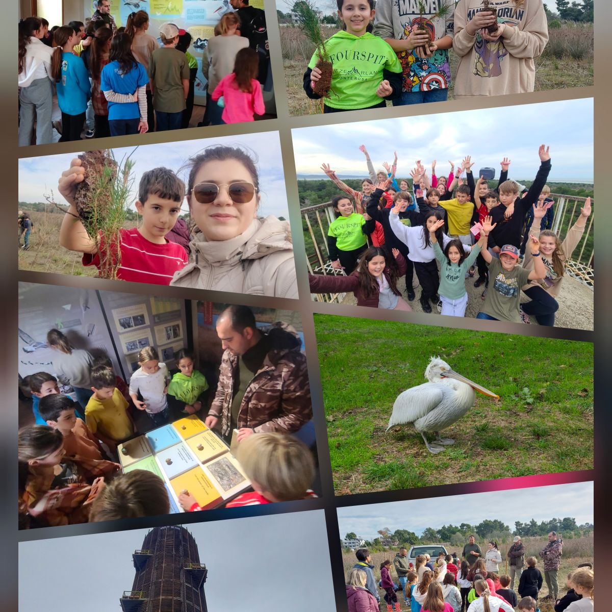 10YO: Divjaka National Park Field Trip | Default Board Post Page ...