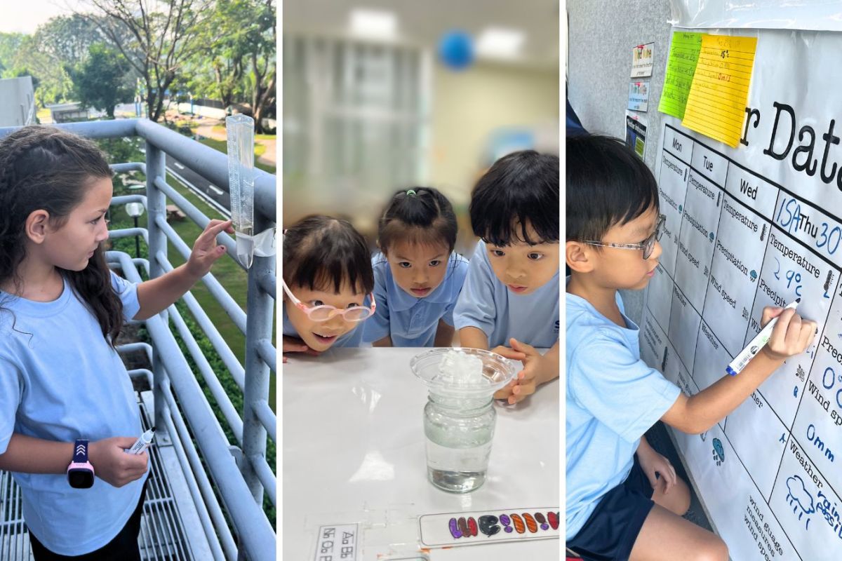 Cultivating STEAM in Elementary School Through Joyful Hands-On Learning ...