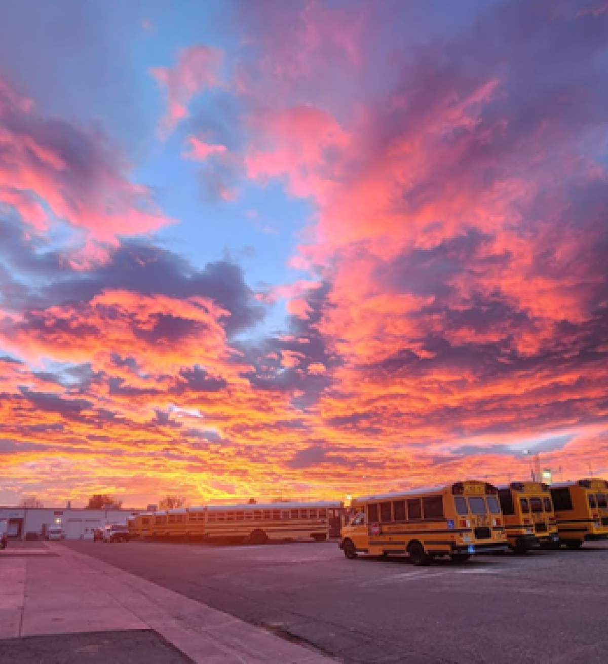 INAUGURAL PICTURE CONTEST CELEBRATES GRATITUDE | What's Up WPS ...