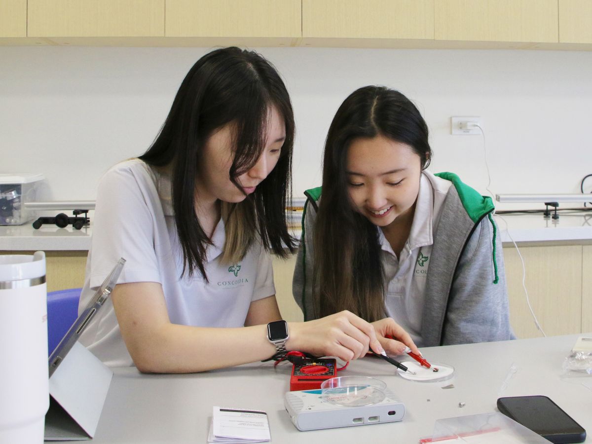 Concordia Math and Science Club Makes Batteries out of Everyday Items ...