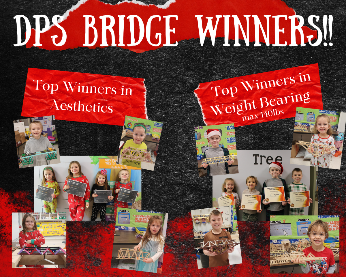 DPS Bridge Challenge | Post Page