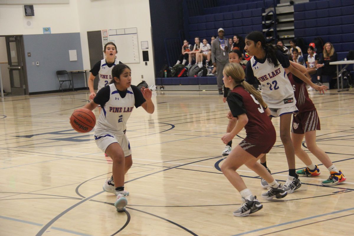 Sports: Wrestling and Basketball | News Article - Pine Lake Middle School