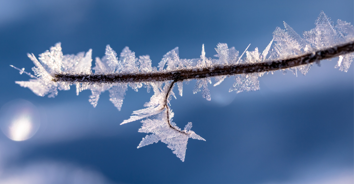 1/13/26 Parent Message: Inclement Weather Forecast | Post Detail