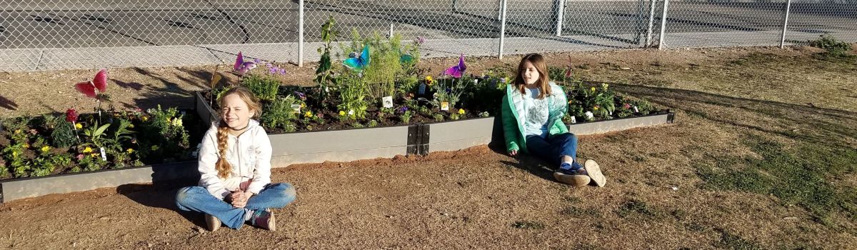 Butterfly Garden & Friendship Bench - Twin Peaks K-8