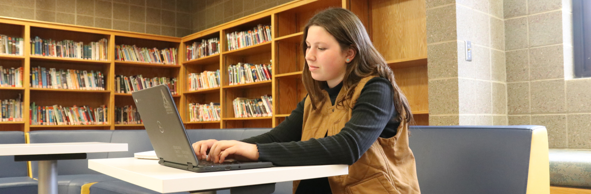 High School - Andover eCademy