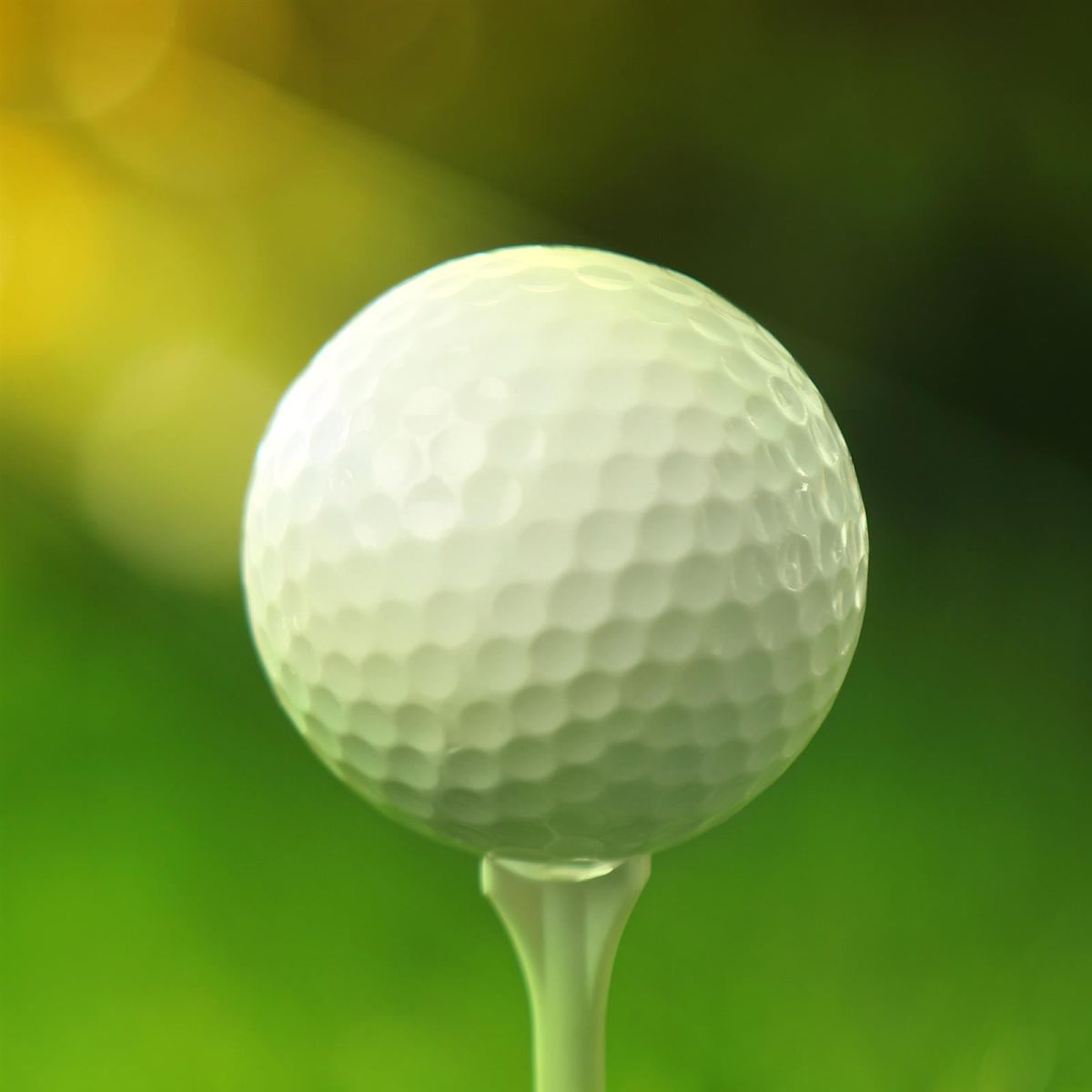 Two JHS golfers take home first place at tournament | Joshua ISD News ...