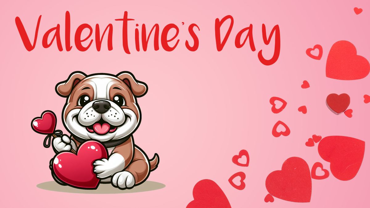 Valentine's Day - February 14, 2024 - Letter from Mr. Beard | News Post