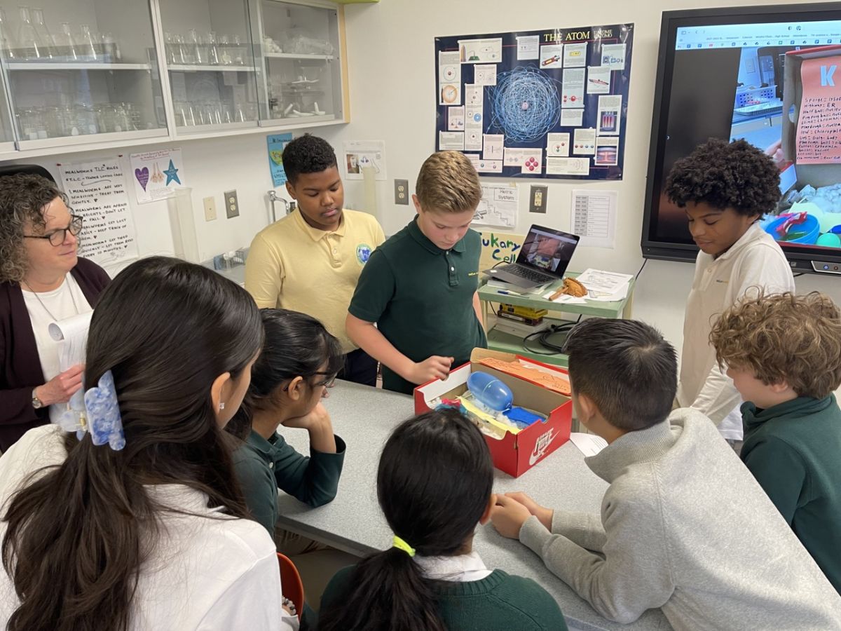 Sixth Graders Display Keen Creativity in Cell Projects | News Posts