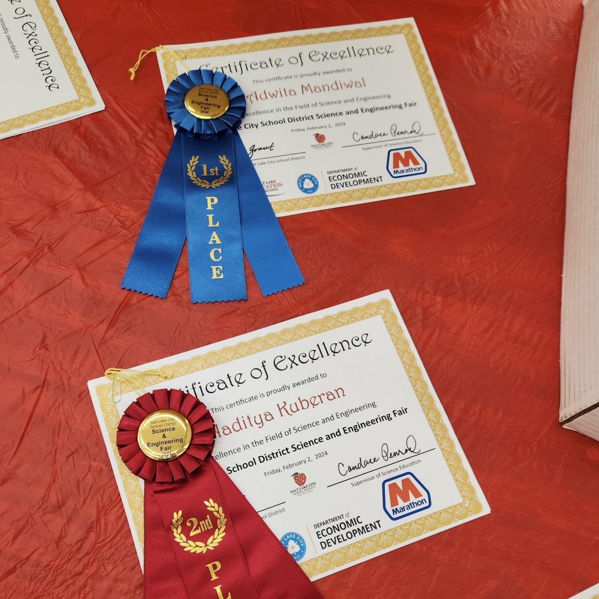 Students Succeed at Science Fair | News Details