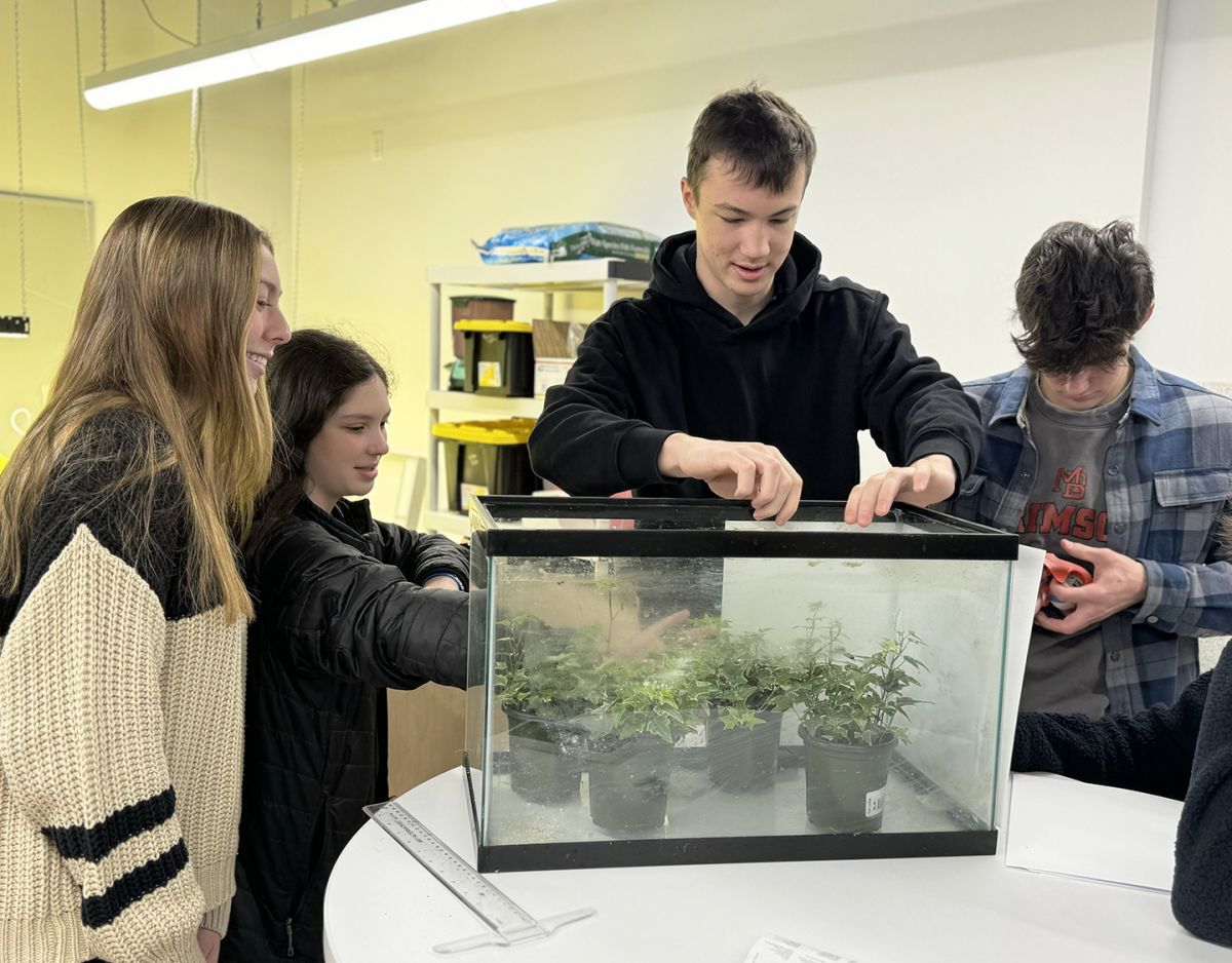 Biology Students Conducting Long-Term Experiments in the Environmental ...