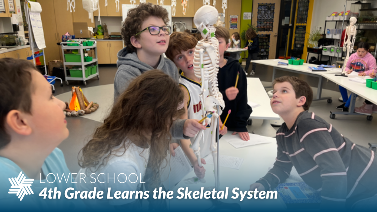 🔬 Fourth Grade Learns the Skeletal System and Mr. Simeon's Endoskeleton ...