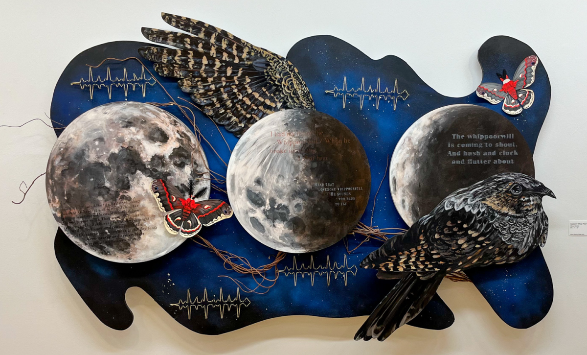 Tuttle dives right in as Academy’s first Artist in Residence | News Details