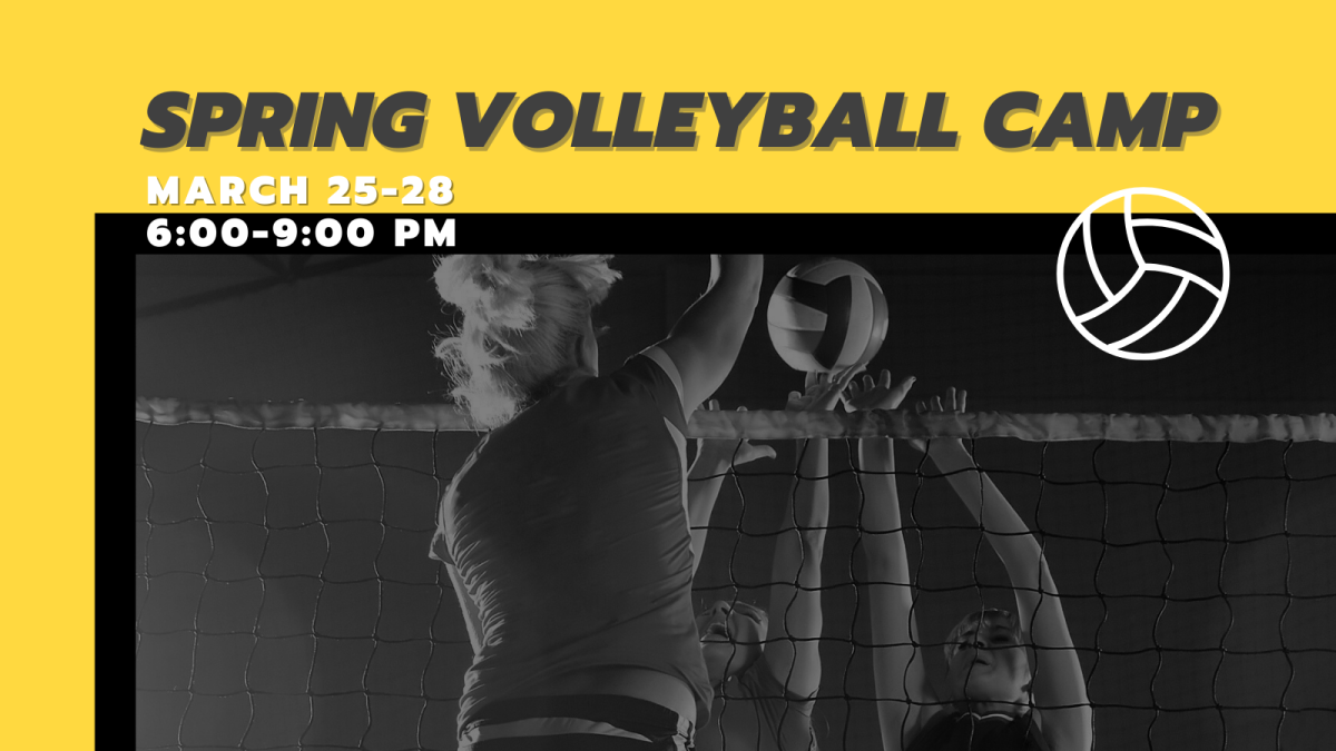 Spring Volleyball Camp | AMS North News & Updates