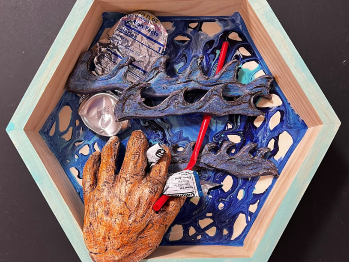 COLORADO PTA HONORS COLORADO STEM STUDENTS | What's Up WPS ...