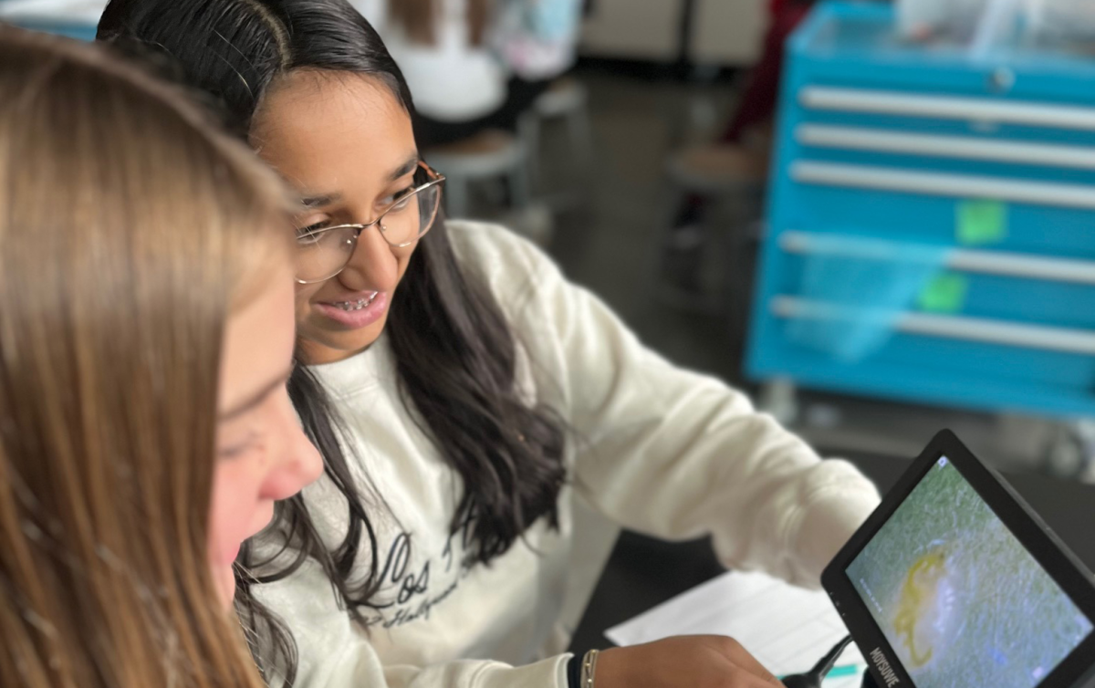 Microplastics become an interesting topic at STEM Lab | News Details