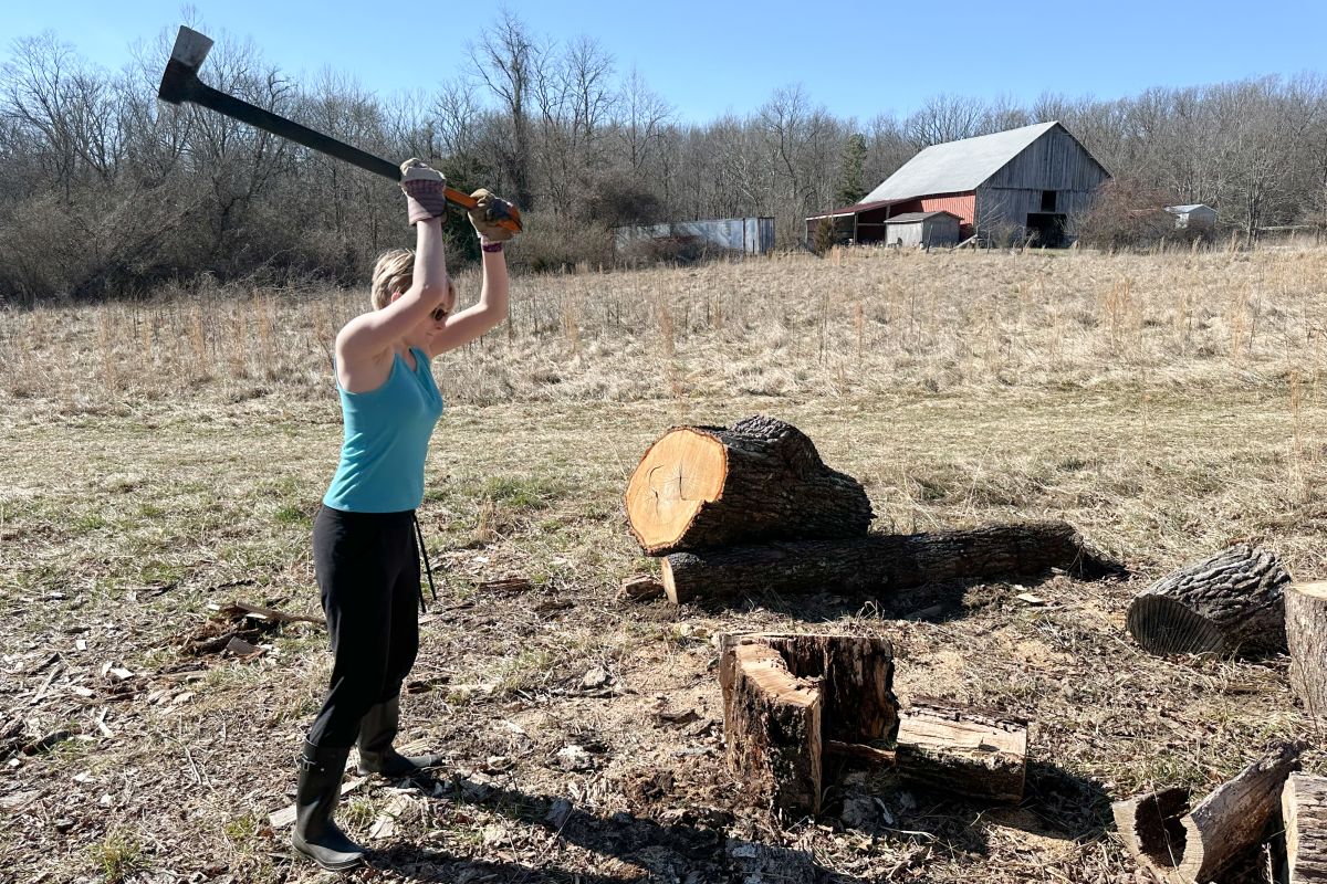 Winterim, a week of intensive study dedicated to experimental and ...